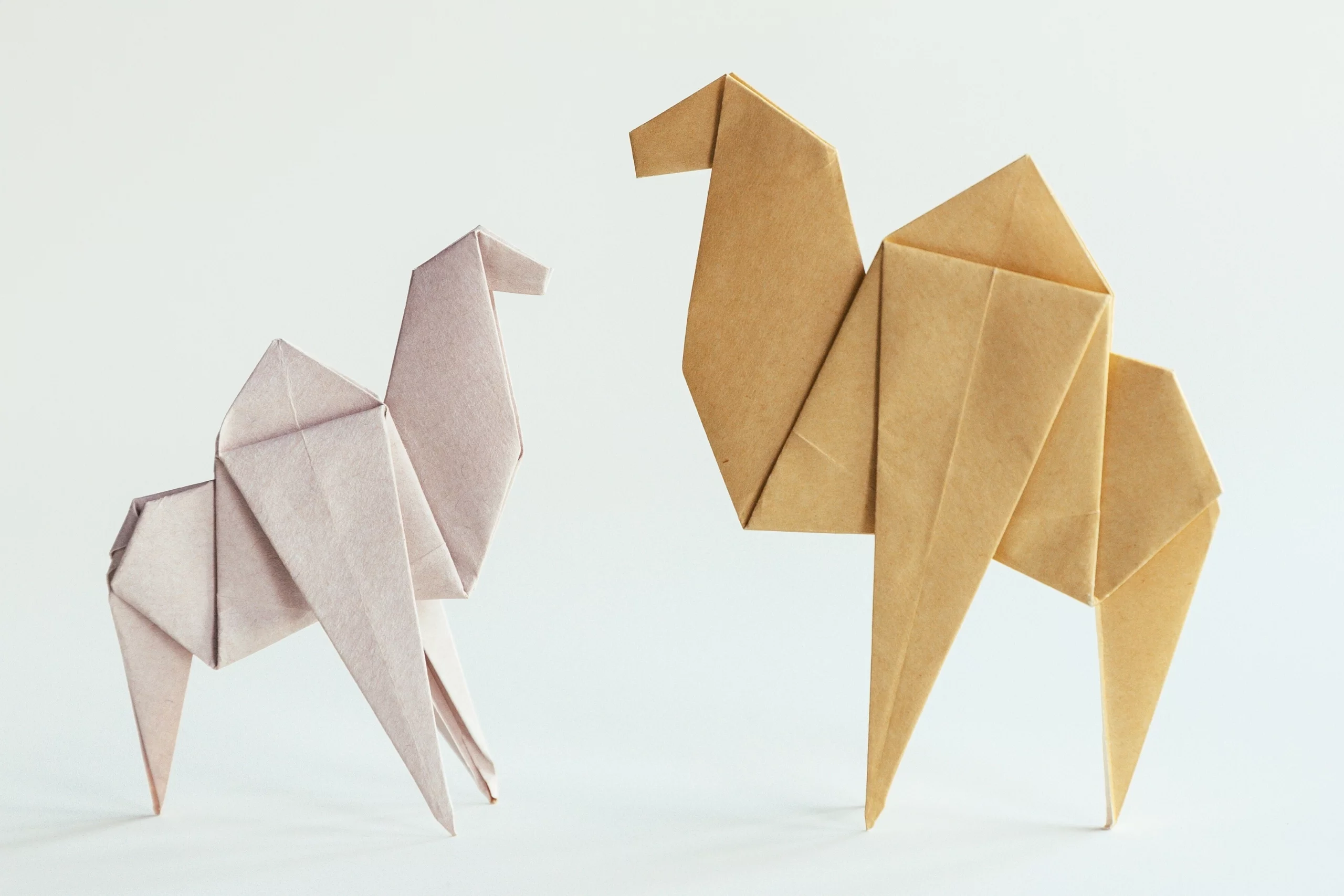 How to Make an Origami Camel - Origami OK