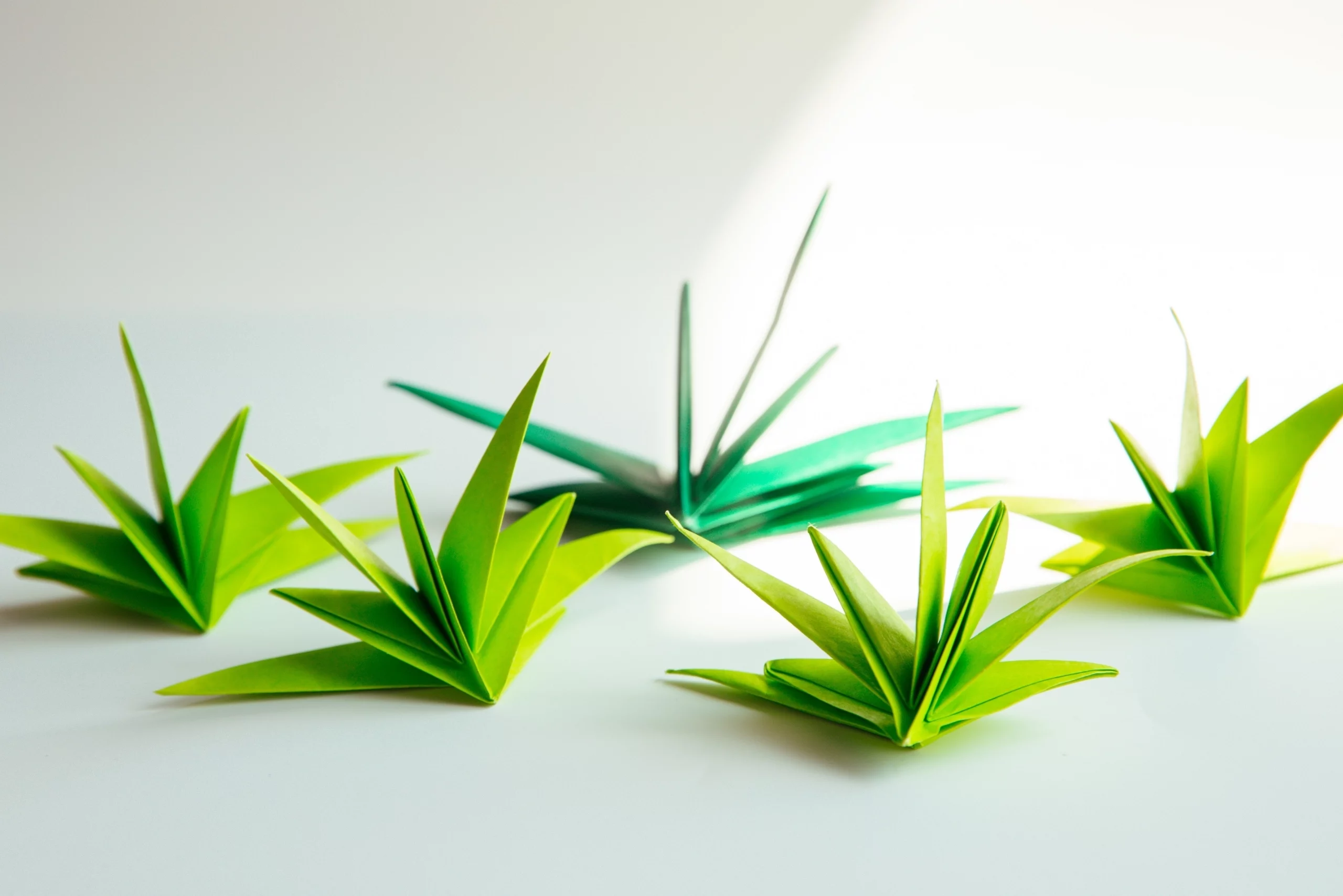 How to Make Origami Grass - Origami OK