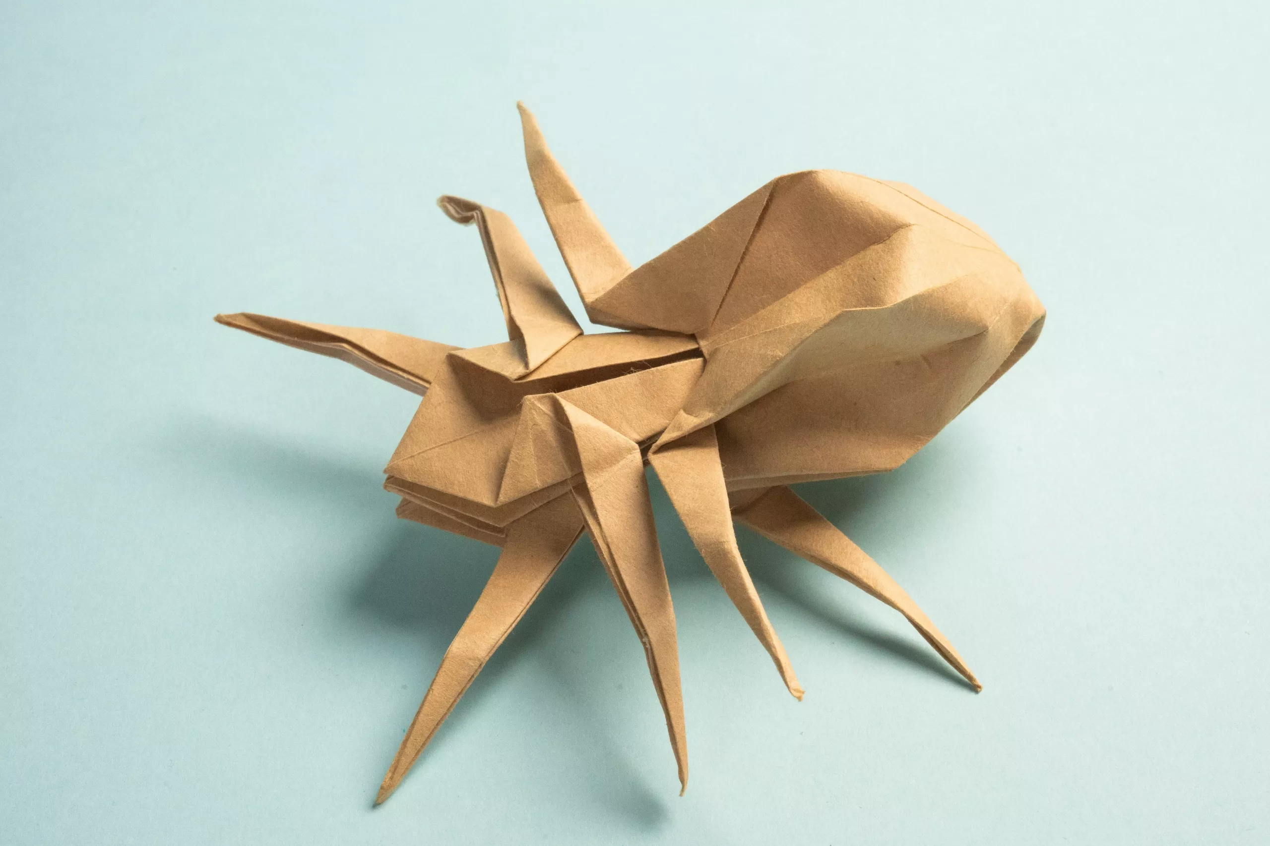 How to Make an Origami Spider - Origami OK