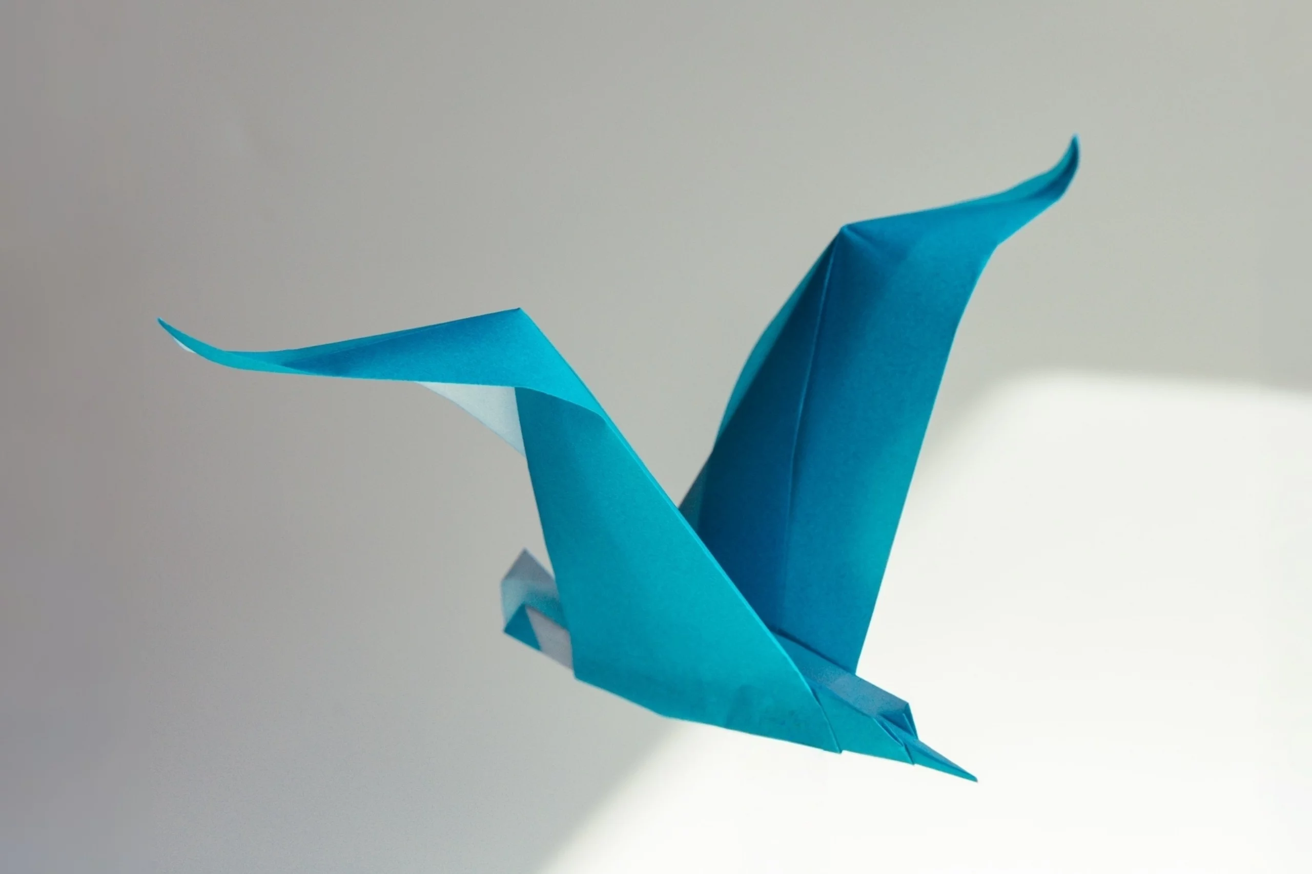 How to Fold an Origami Seagull - Origami OK
