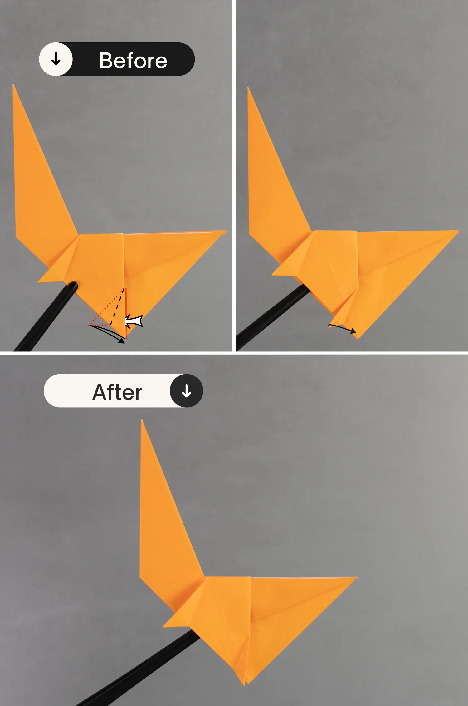 Origami T Rex Tutorial Dinosaur Origami Shop Tyrannosaurus Rex