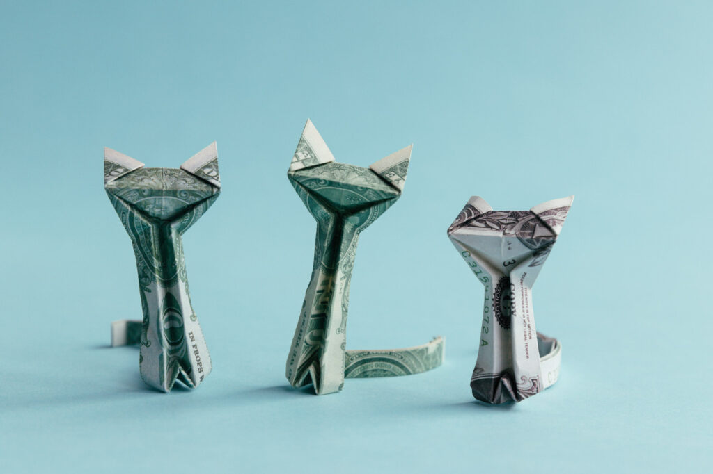 Easy Dollar Bill Origami Cat Instructions - OrigamiOK