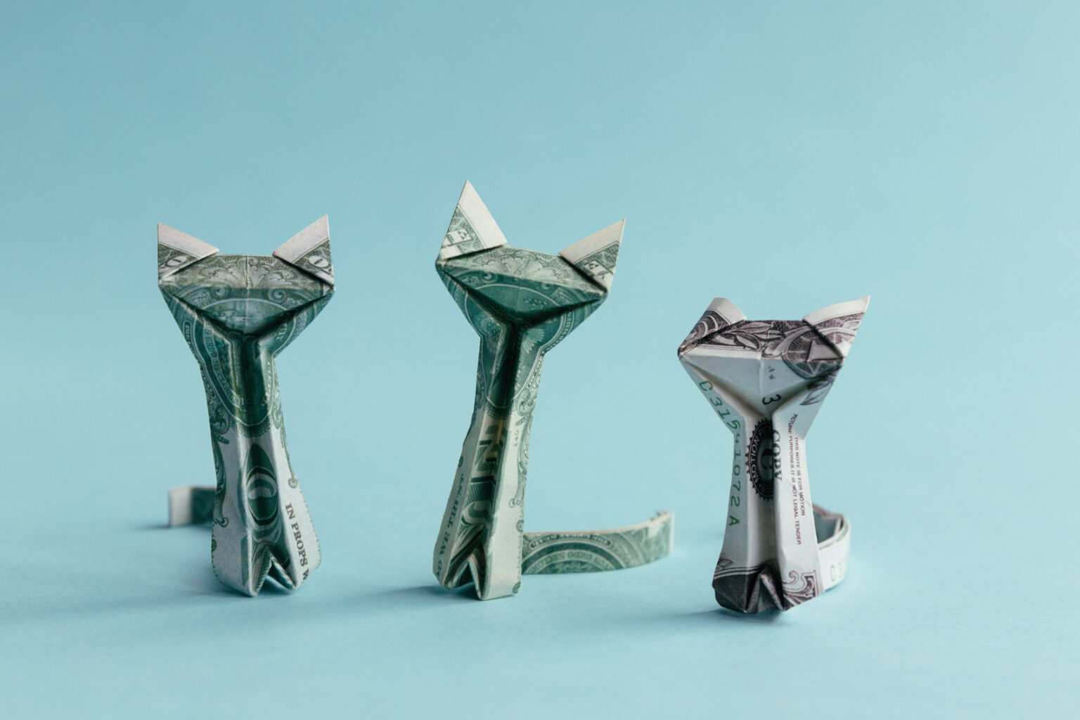 Easy Dollar Bill Origami Cat Instruction - Origami OK