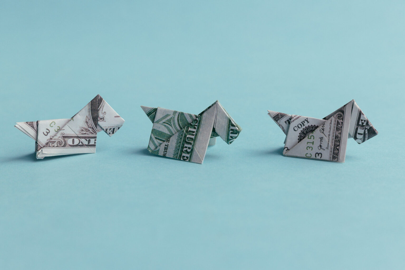 Easy Dollar Bill Origami Dog Instruction - Origami OK