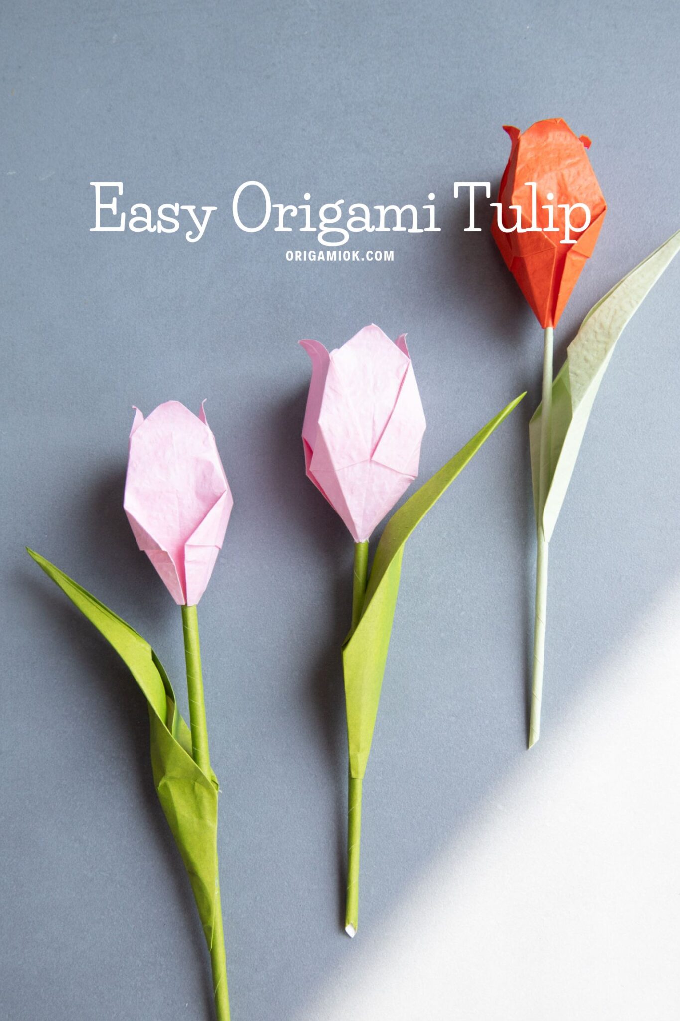 Easy Origami Tulip: Step by Step Instructions - Origami OK