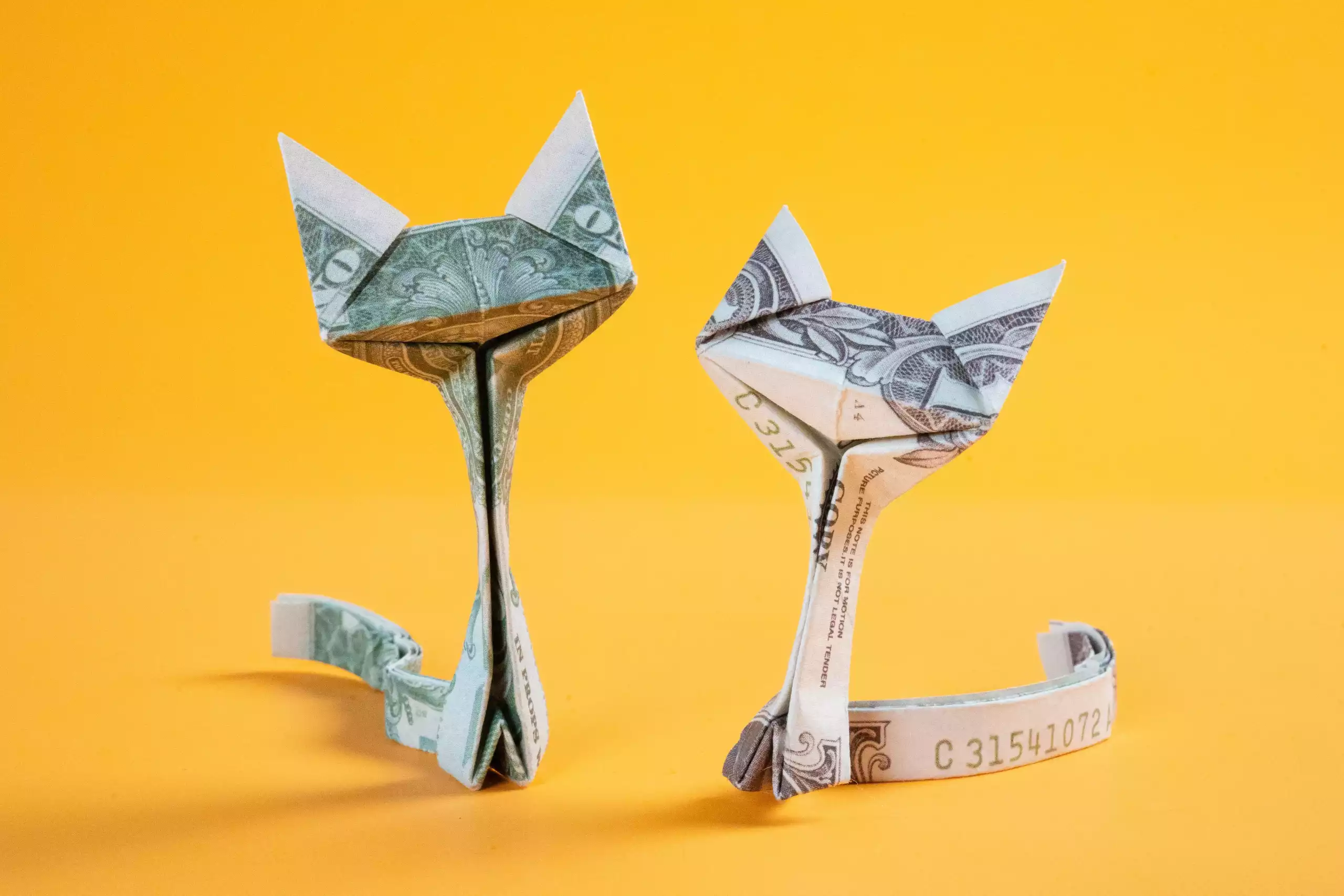 Easy Dollar Bill Origami Cat Instruction - Origami OK