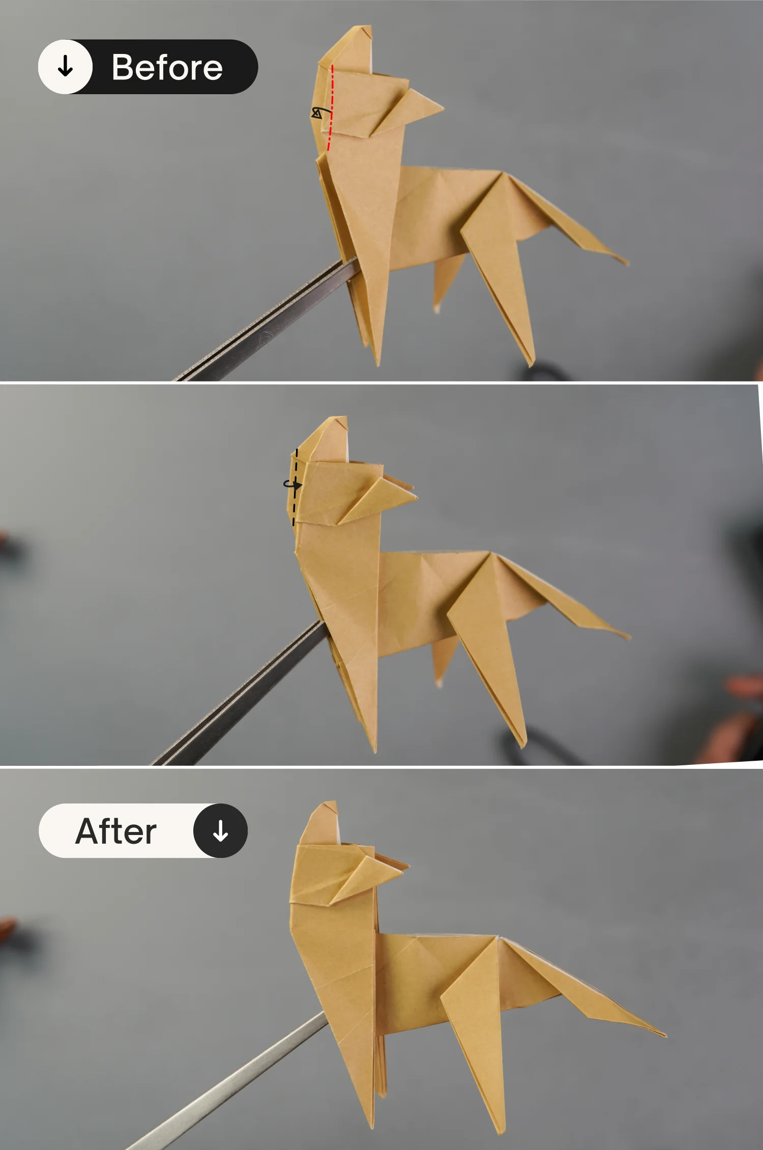 How to Fold an Origami Wolf - Origami OK
