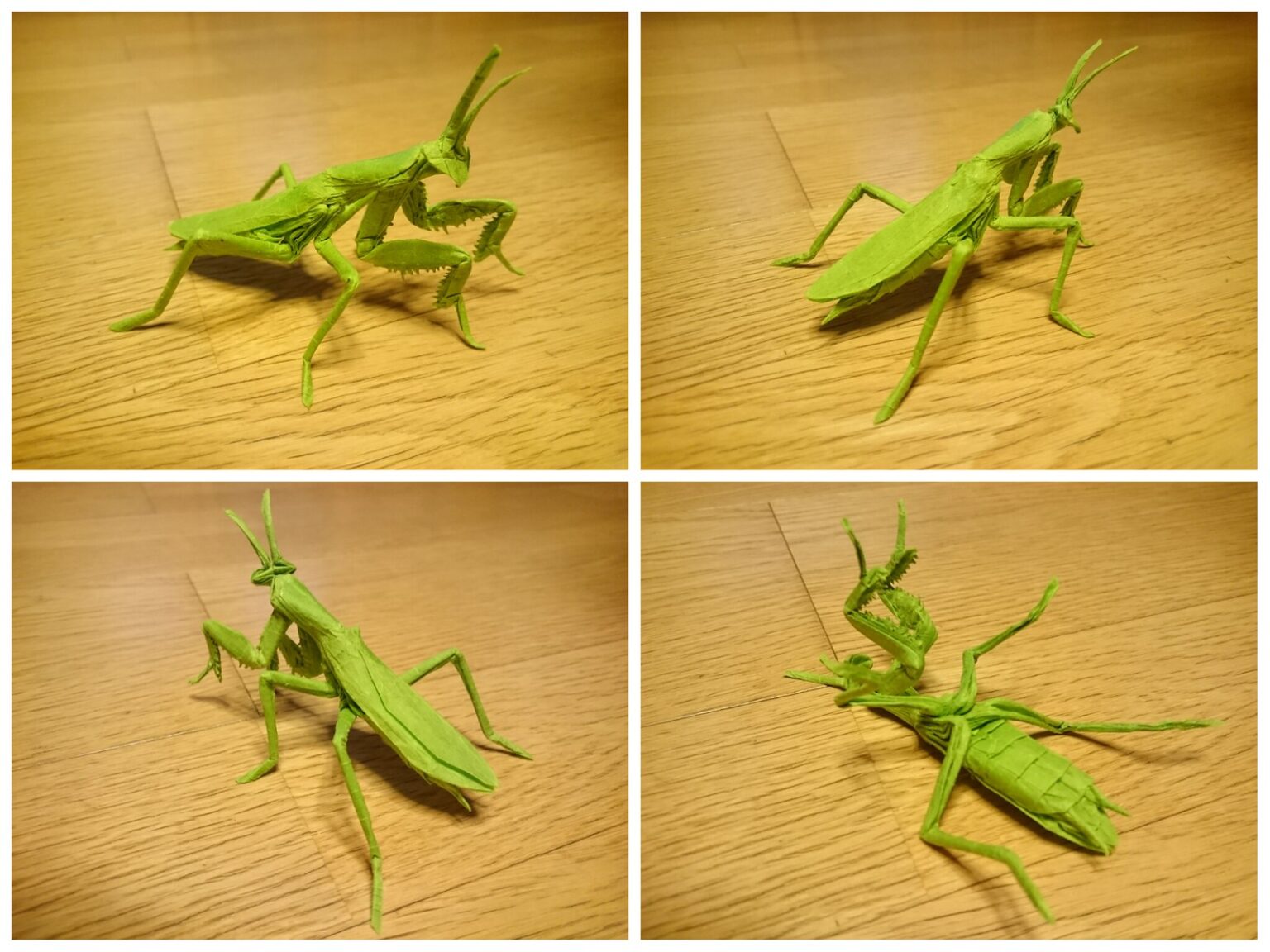 Wet Folding Origami - What It Is and How to Do It - Origami OK